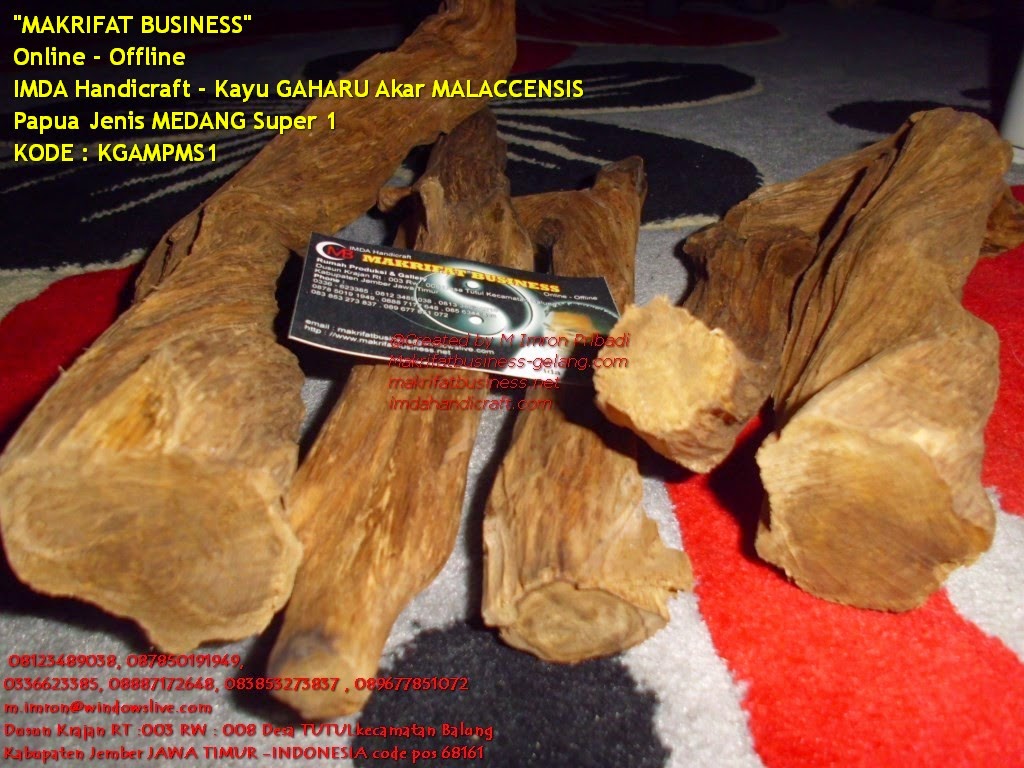 Kayu GAHARU Akar MALACCENSIS Papua Jenis MEDANG Super 1 by: IMDA ...